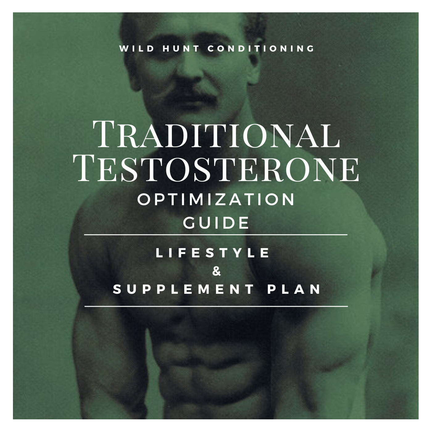 Traditional Man's Guide to Testosterone – Wild Hunt Conditioning